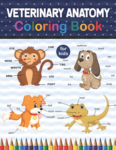 Veterinary Anatomy Coloring Book For Kids: Veterinary Anatomy Coloring ...