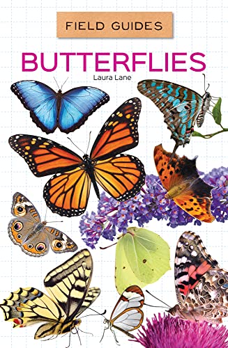 Butterflies (Field Guides Set 3) by Laura Lane | Goodreads