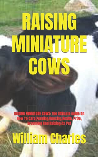 RAISING MINIATURE COWS: RAISING MINIATURE COWS: The Ultimate Guide On ...