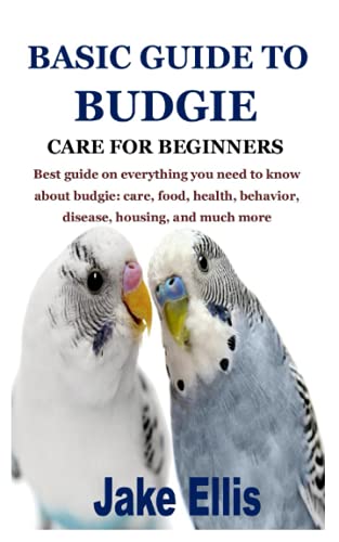 BASIC GUIDE TO BUDGIE CARE FOR BEGINNERS: Best guide on everything you ...