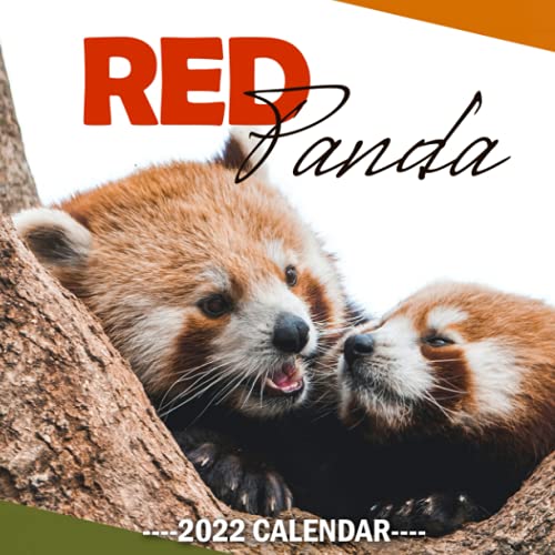 Red Panda Calendar 2022: 2021-2022 calendar animals- animal wildlife ...