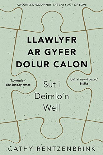 Darllen yn Well: Llawlyfr ar Gyfer Dolur Calon by Cathy Rentzenbrink ...