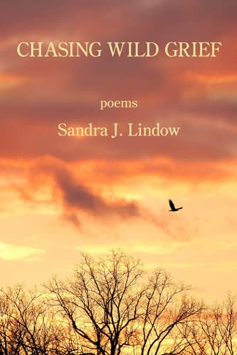 Chasing Wild Grief by Sandra J. Lindow | Goodreads