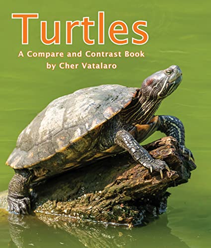 Turtles: A Compare and Contrast Book by Cherlyn Vatalaro | Goodreads