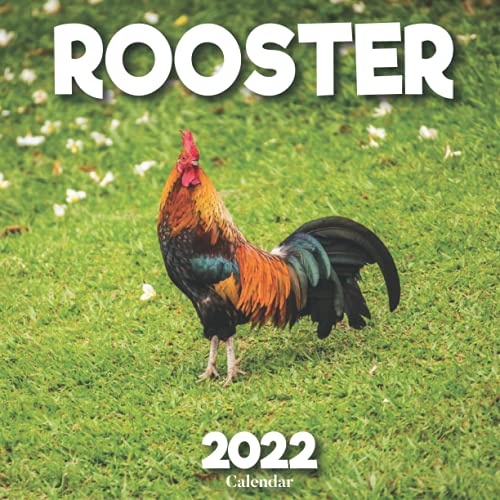 Rooster Calendar 2022: A Monthly and Weekly Calendar 2022 - 12 months ...
