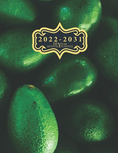 2022-2031 10 Year Monthly Planner: Ten Year Planner Calendar Schedule ...