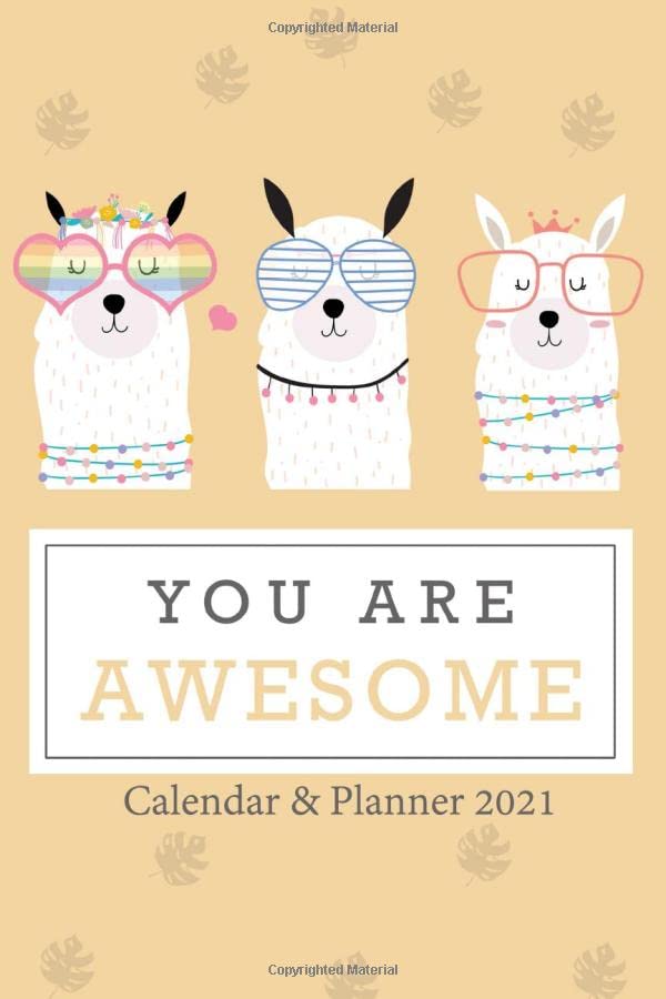 You Are Awesome: Llama Alpaca Calendar & Planner 2021: Planner ...
