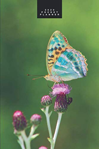 2020 Pocket Planner: Cute Butterflies Insects Monthly Planner Mini ...