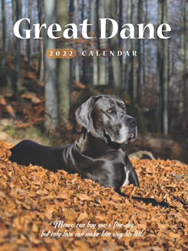 Great Dane 2022 Calendar: 12-month Calendar - Gorgeous Mini Calendar ...