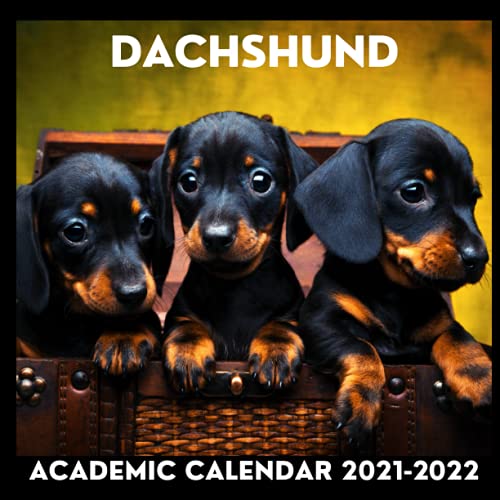 Dachshund Academic Calendar 2021-2022: September 2021 - December 2022 ...