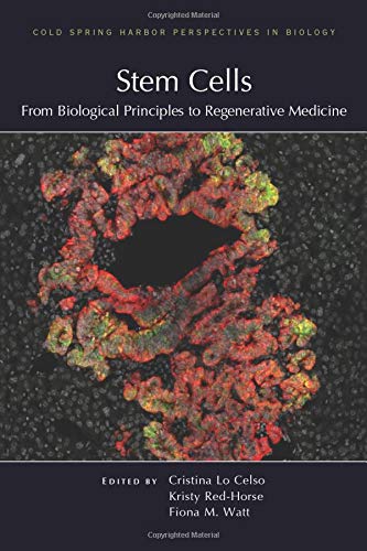 Stem Cells: From Biological Principles to Regenerative Medicine by ...