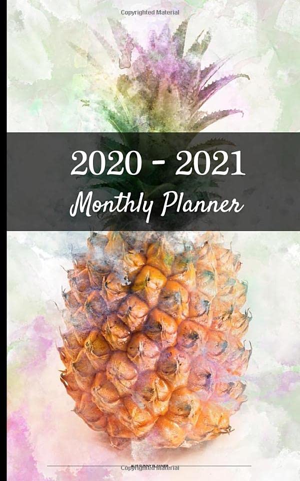 2020-2021 Monthly Planner: Two Year Small Size (5 x 8 Inches, 111 Pages ...