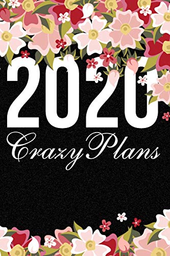 2020 Crazy Plans: 2020 year planner: 2020 Planner Weekly And Monthly ...