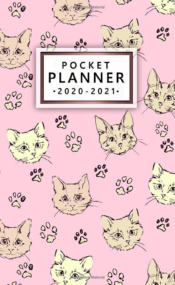 2020-2021 Pocket Planner: Nifty 2 Year Calendar & Agenda with Monthly ...