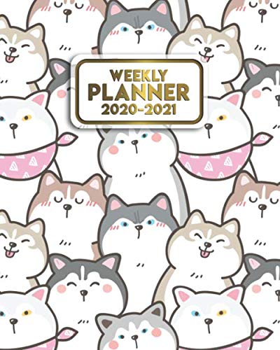 2020-2021 Weekly Planner: Two Year Organizer & Planner with Weekly ...