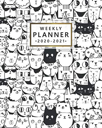 2020-2021 Weekly Planner: Two Year Organizer & Planner with Weekly ...