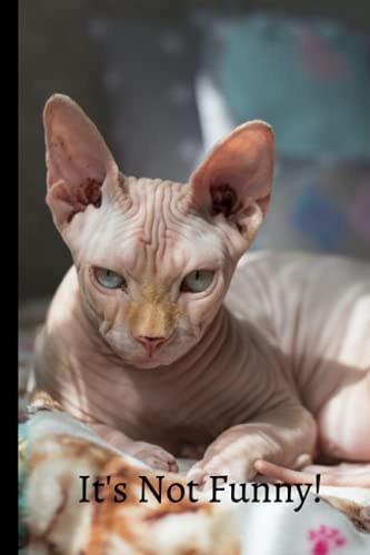 Grumpy Looking Bald Kitty Journal by AH64 Designs | Goodreads