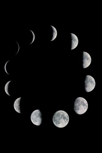 Self Care Acts Planner Luna Moon Phases by Michael Michalek | Goodreads