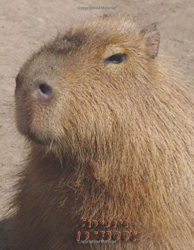ฺฺCapybara NOTEBOOK: Mammal Notebooks and Journals 110 pages by Bruce ...