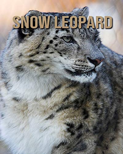 Snow Leopard: Amazing Photos of Animals in Nature About Snow Leopard by ...