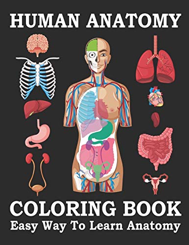 HUMAN ANATOMY COLORING BOOK EASY WAY TO LEARN ANATOMY: Human anatomy ...