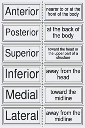 Anterior ,Posterior ,Superior,Inferior,Medial ,Lateral: Great 120 ...