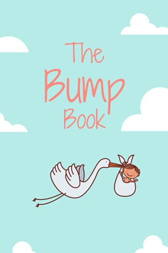 The Bump Book: Complete Pregnancy Planner, Checklist & Organizer Book ...