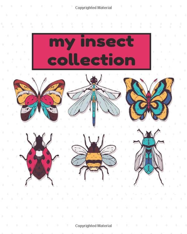 my insect collection nature journal study insect for kids and students ...