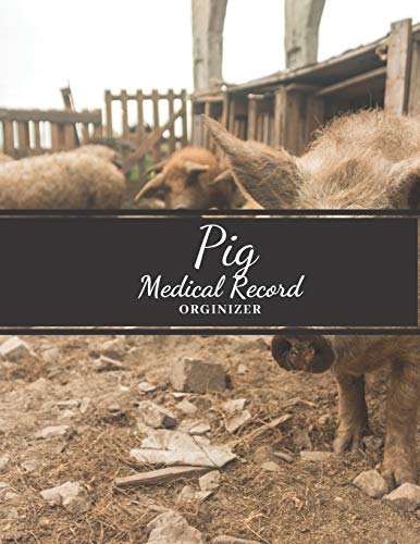 Pig Medical Records Organizer: Pig Medical Records Organizer: Health ...