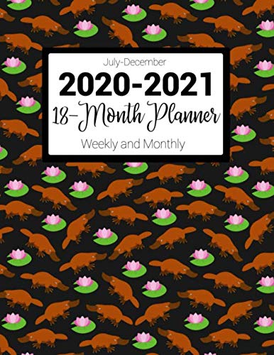 July-December 2020-2021 18-Month Planner: Black Platypus Pattern ...