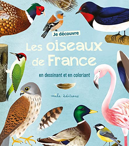 Je découvre les oiseaux de France en dessinant et en coloriant by Anne ...
