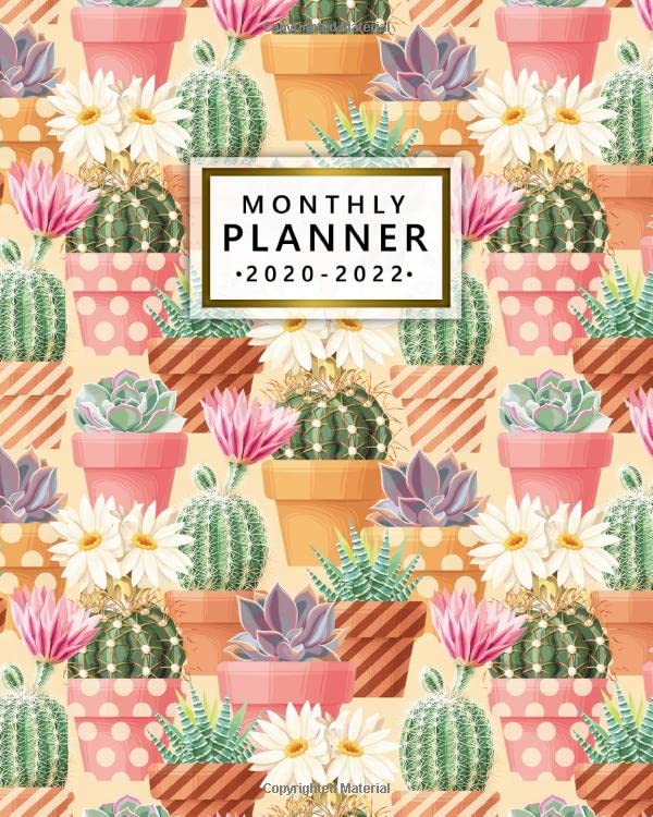 2020-2022 Monthly Planner: Cute Potted Cactus Three Year (36 Months ...