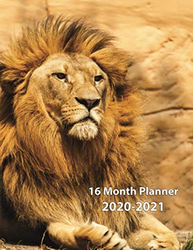 Low Vision Large Print 16 Month 2020-2021 Monthly & Weekly Planner ...