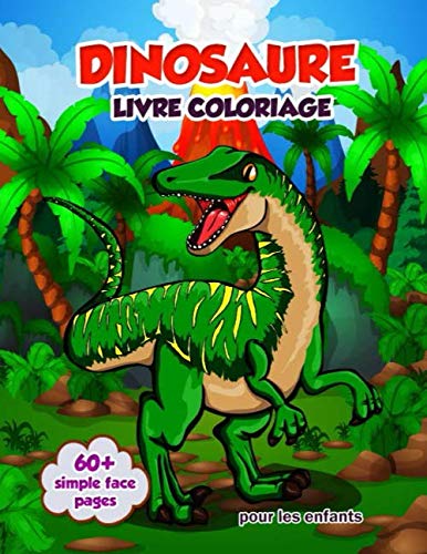 Livre Coloriage Dinosaure Enfant: 60+ Pages De Haute Qualité Des ...