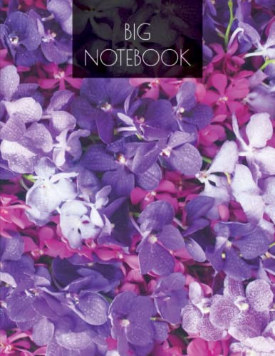 Big Notebook: Extra Large Giant Notebook, 500 College Ruled Pages, 8.5 ...