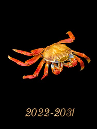 2022-2031: 10 Year Monthly Planner. 120 months Calendar Schedule ...