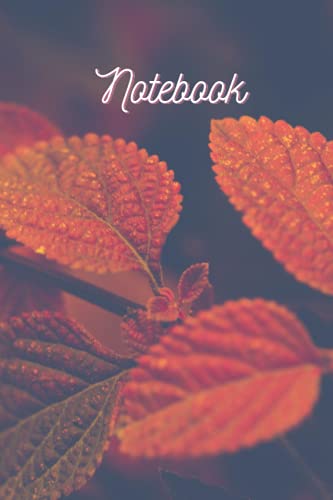Notebook: Fall Leaves: fall leaves notebook with 120 blank linear pages ...
