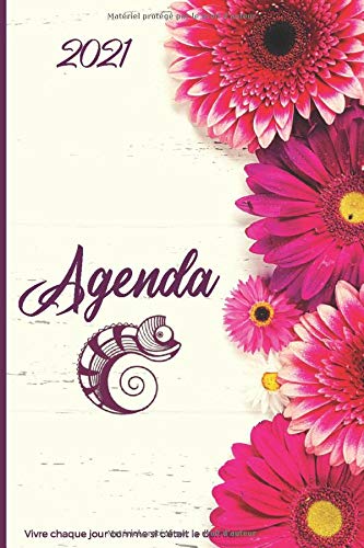 Agenda (French Edition) by Anaïs Mony | Goodreads