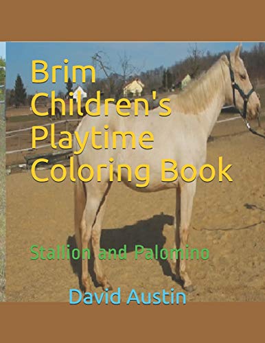 Brim Children's Playtime Coloring Book: Stallion and Palomino by David ...