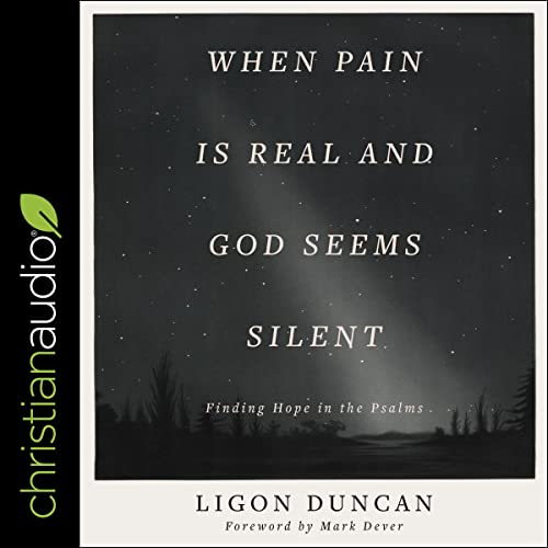 When Pain is Real and God Seems Silent: Finding Hope in the Psalms by ...