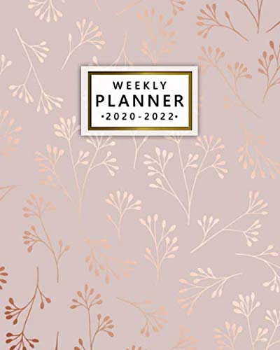 2020-2022 Weekly Planner: 3 Year Planner and Organizer with Weekly ...