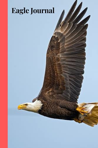 Eagle notebook: Eagle Lovers Journal Notebook. 120 Lined Journaling ...
