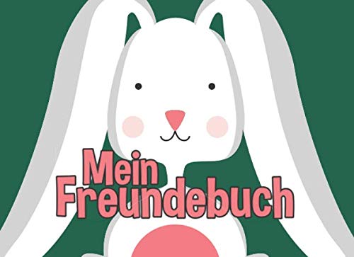 Mein Freundebuch: Ein tolles Freundschaftsbuch zum ausfüllen - Mit viel ...