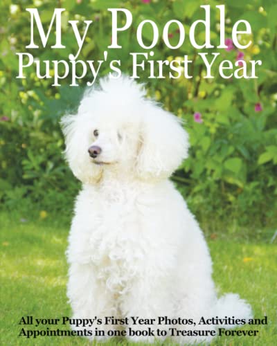 My Poodle Puppy's First Year: All your Puppy's First Year Photos ...