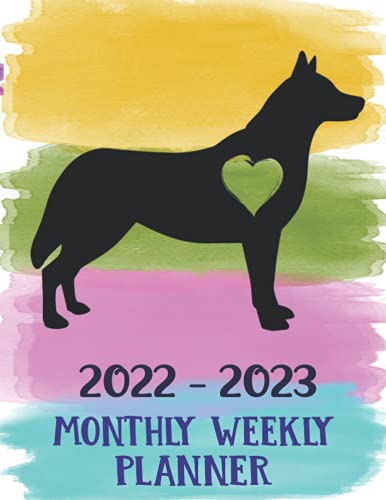 Monthly Weekly Planner: Two Year Planner Calendar Schedule Organizer ...