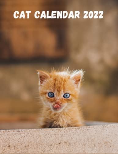 Cat Calendar 2022: 12 Month Calendar For Cat Lovers, Mini Calendar 2022 ...