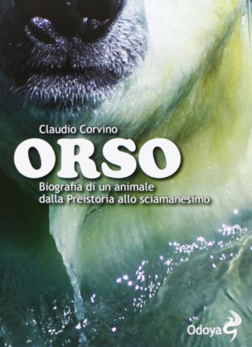 Orso. Biografia di un animale dalla preistoria allo sciamanesimo by ...