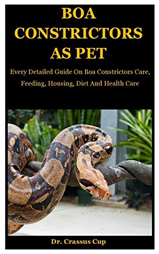 Boa Constrictors As Pet: Every Detailed Guide On Boa Constrictors Care, Feeding, Housing, Diet ...