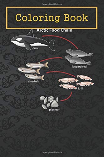 Coloring Book: Arctic Food Chain Orca Lover Sea Ocean Marine Animal ...