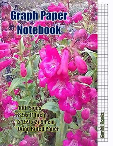 Graph Paper Notebook: (14), Quad Ruled, Grid Paper, 100 Pages by Genial ...